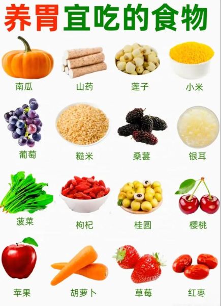 养胃的食物有哪些_养胃的水果蔬菜推荐-第1张图片-山城妙识