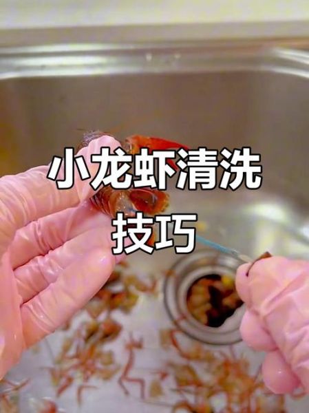 小龙虾怎么杀才干净_小龙虾清洗去虾线技巧-第1张图片-山城妙识