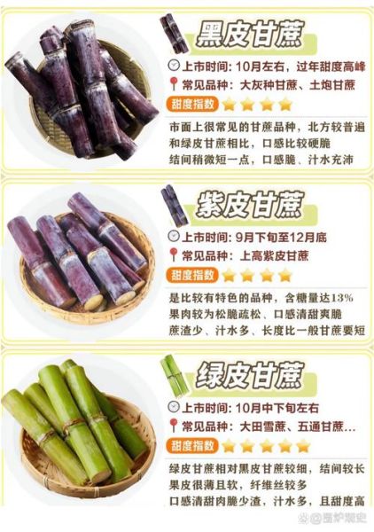甘蔗图片高清图片_如何挑选优质甘蔗-第2张图片-山城妙识