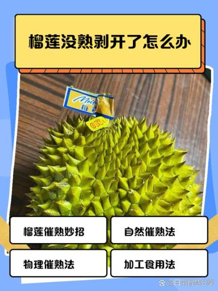 榴莲开了一半发现没熟怎么办_榴莲不熟还能吃吗-第1张图片-山城妙识