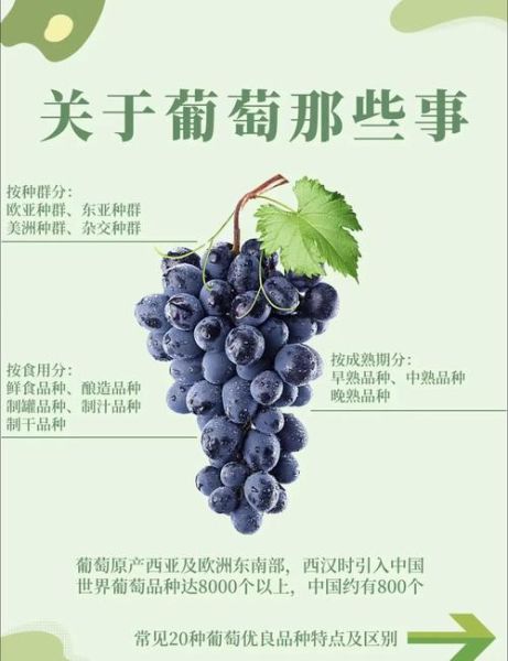 葡萄英语怎么读_grape发音技巧-第2张图片-山城妙识 葡萄英语怎么读_grape发音技巧-第2张图片-山城妙识