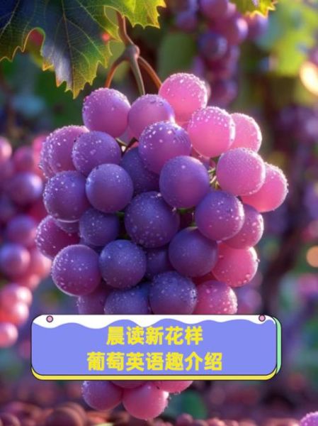 葡萄英语怎么读_grape发音技巧-第3张图片-山城妙识 葡萄英语怎么读_grape发音技巧-第3张图片-山城妙识