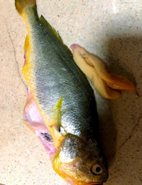 小黄花鱼怎么炖好吃又简单_家常做法-第2张图片-山城妙识 小黄花鱼怎么炖好吃又简单_家常做法-第2张图片-山城妙识