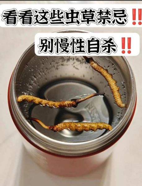 虫草一天吃几根为合适_虫草每日用量是多少-第1张图片-山城妙识