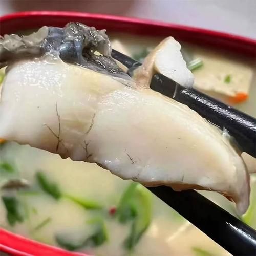 珍珠龙胆石斑鱼多少钱一斤_珍珠龙胆石斑鱼怎么养-第3张图片-山城妙识 珍珠龙胆石斑鱼多少钱一斤_珍珠龙胆石斑鱼怎么养-第3张图片-山城妙识