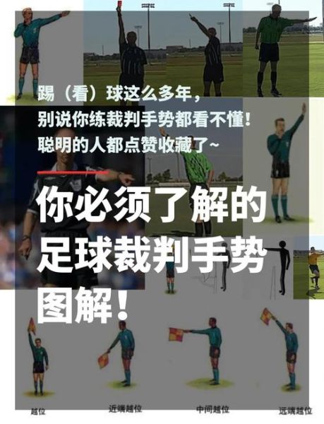 橄榄球规则视频_如何看懂比赛-第3张图片-山城妙识