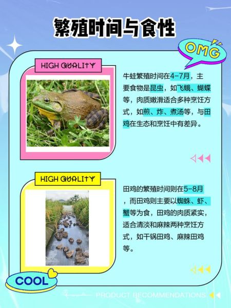 青蛙田鸡和牛蛙的区别图片_怎么区分-第1张图片-山城妙识