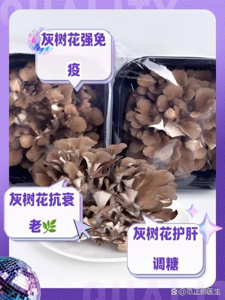 灰树花有什么功效与作用_灰树花禁忌人群有哪些-第1张图片-山城妙识 灰树花有什么功效与作用_灰树花禁忌人群有哪些-第1张图片-山城妙识