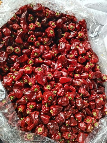 灯笼椒怎么挑选_灯笼椒和青椒区别-第1张图片-山城妙识