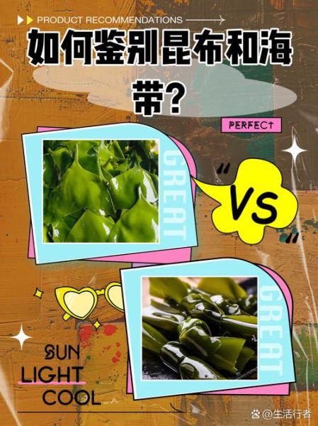 昆布和海带的区别_哪个营养价值更高-第2张图片-山城妙识