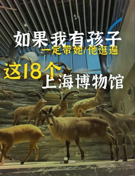 上海科技馆门票价格_上海科技馆开放时间-第1张图片-山城妙识