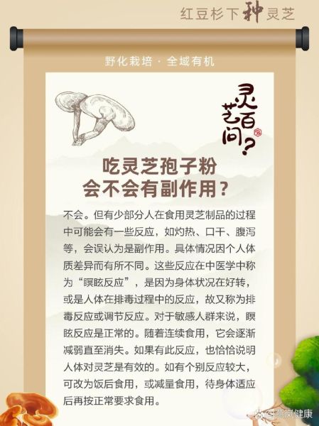 灵芝粉禁忌人群有哪些_哪些人不能吃灵芝粉-第2张图片-山城妙识 灵芝粉禁忌人群有哪些_哪些人不能吃灵芝粉-第2张图片-山城妙识