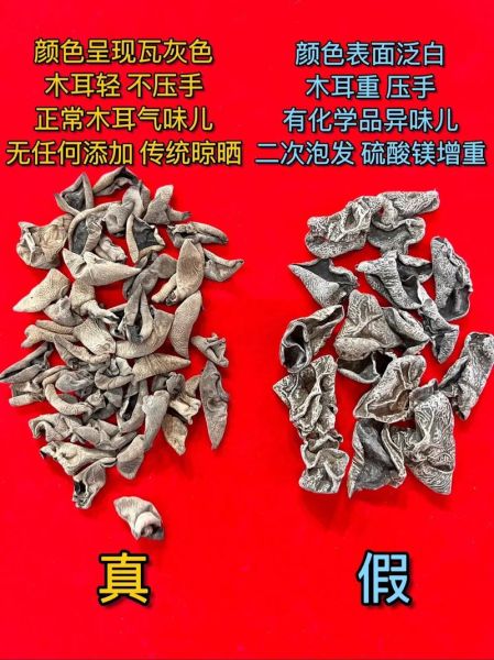 东北黑木耳产地哪里最好_东北黑木耳真假怎么分辨-第1张图片-山城妙识