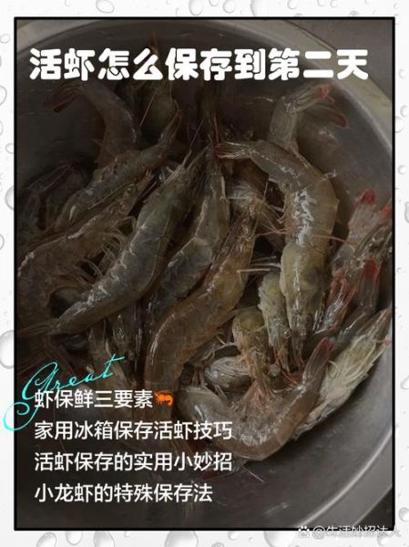 活虾怎么保存_活虾图片高清细节怎么看-第3张图片-山城妙识