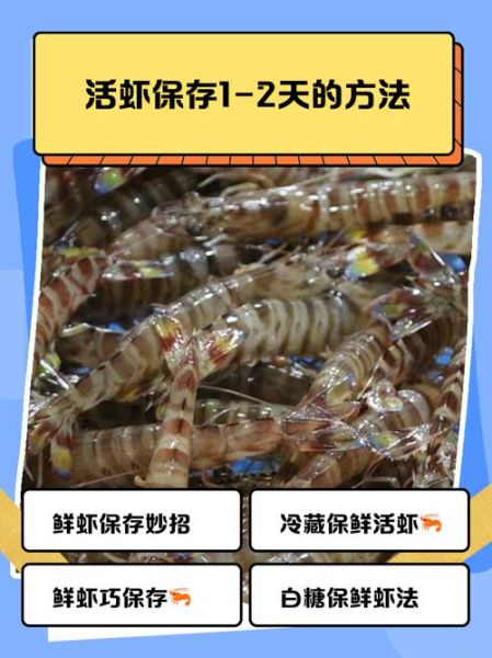 活虾怎么保存_活虾图片高清细节怎么看-第2张图片-山城妙识