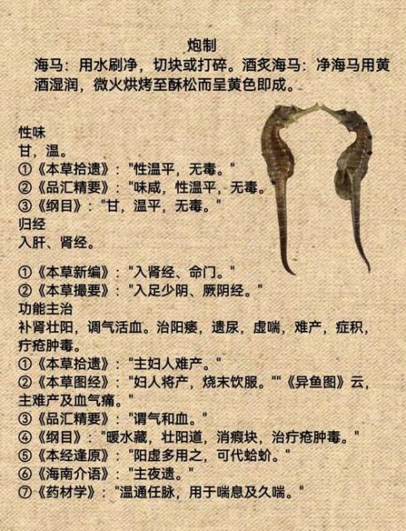 海马的功效与作用_海马怎么吃补肾壮阳-第1张图片-山城妙识