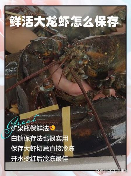 大龙虾怎么杀_活龙虾处理步骤-第2张图片-山城妙识