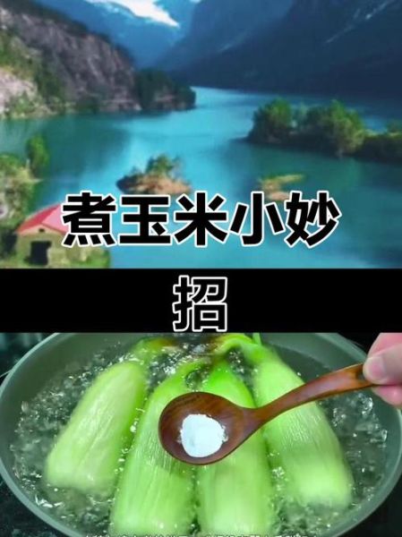 煮玉米放糖还是放盐_哪个更好吃-第2张图片-山城妙识
