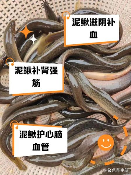 泥鳅需要去内脏吗_泥鳅怎么处理干净-第3张图片-山城妙识 泥鳅需要去内脏吗_泥鳅怎么处理干净-第3张图片-山城妙识