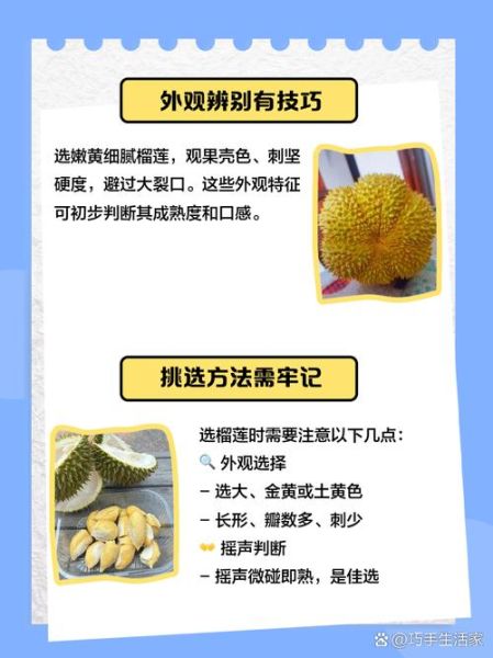 榴莲app免费下载汅api未满入内破解_是否安全可用-第2张图片-山城妙识