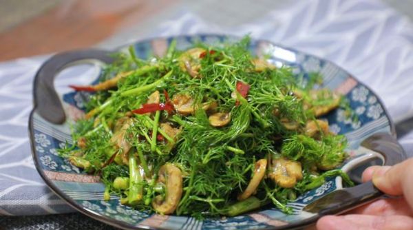 茴香苗是发物吗_术后能吃茴香苗吗-第3张图片-山城妙识 茴香苗是发物吗_术后能吃茴香苗吗-第3张图片-山城妙识