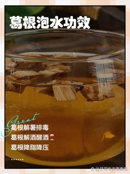 葛根泡水喝的害处_长期喝葛根茶有什么副作用-第1张图片-山城妙识 葛根泡水喝的害处_长期喝葛根茶有什么副作用-第1张图片-山城妙识