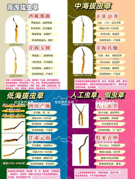 冬虫夏草的功效与禁忌_冬虫夏草怎么吃最好-第3张图片-山城妙识