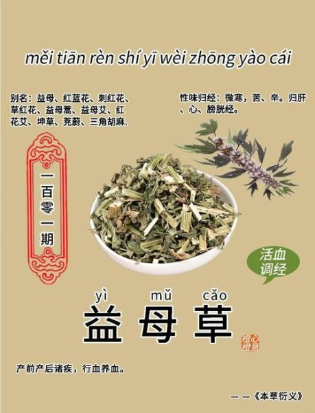 益母草什么人不能吃_益母草禁忌人群-第1张图片-山城妙识