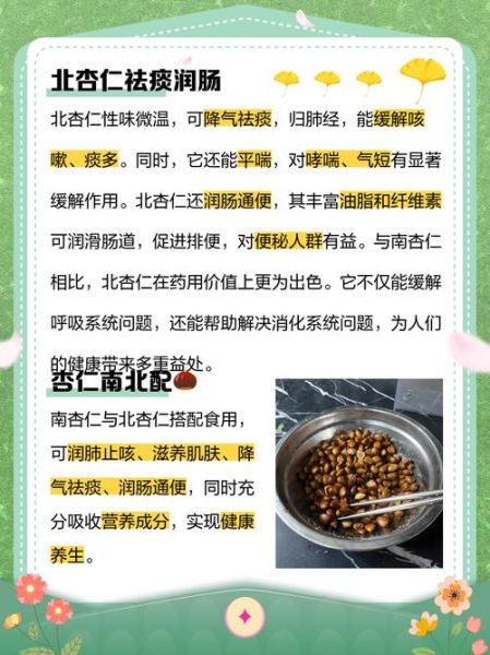 南北杏的功效与作用_南北杏煲汤止咳吗-第2张图片-山城妙识 南北杏的功效与作用_南北杏煲汤止咳吗-第2张图片-山城妙识