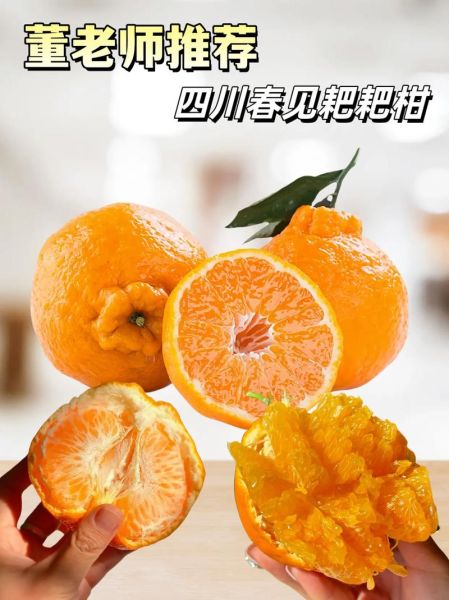 耙耙柑怎么挑选_耙耙柑什么时候最好吃-第3张图片-山城妙识