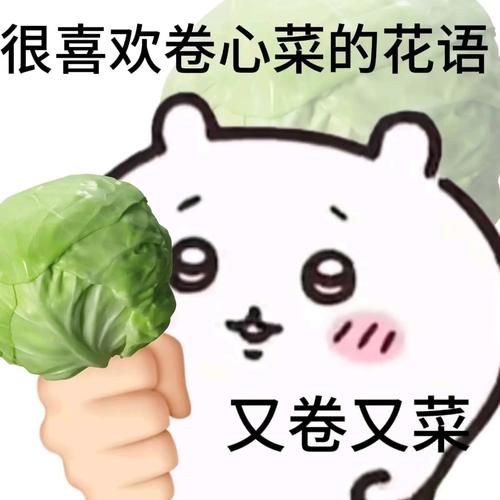 卷心菜表情包怎么保存_卷心菜表情包有哪些含义-第2张图片-山城妙识