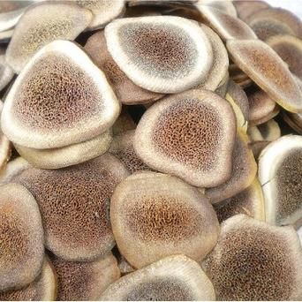 鹿角片的功效与作用_鹿角片怎么吃效果最好-第3张图片-山城妙识