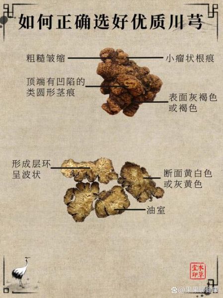 川芎的功效与作用及禁忌是什么_川芎什么人不能吃-第3张图片-山城妙识 川芎的功效与作用及禁忌是什么_川芎什么人不能吃-第3张图片-山城妙识