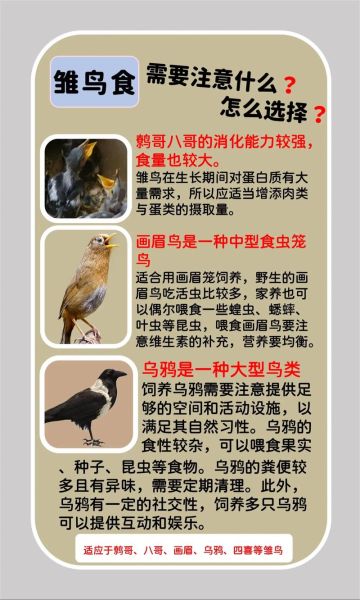 四喜鸟怎么养_四喜鸟吃什么食物-第1张图片-山城妙识 四喜鸟怎么养_四喜鸟吃什么食物-第1张图片-山城妙识