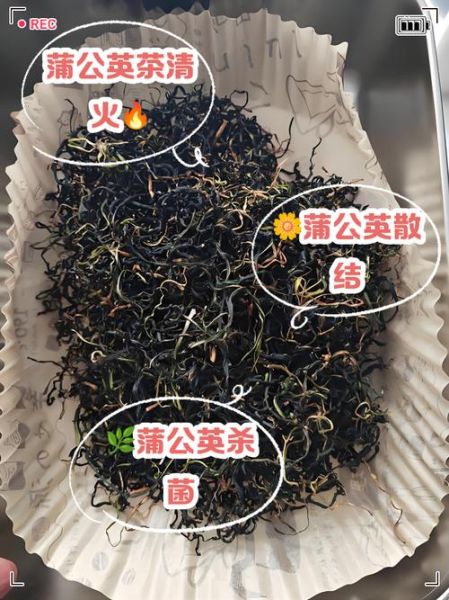 蒲公英茶的功效与作用_蒲公英茶怎么喝效果最好-第2张图片-山城妙识 蒲公英茶的功效与作用_蒲公英茶怎么喝效果最好-第2张图片-山城妙识