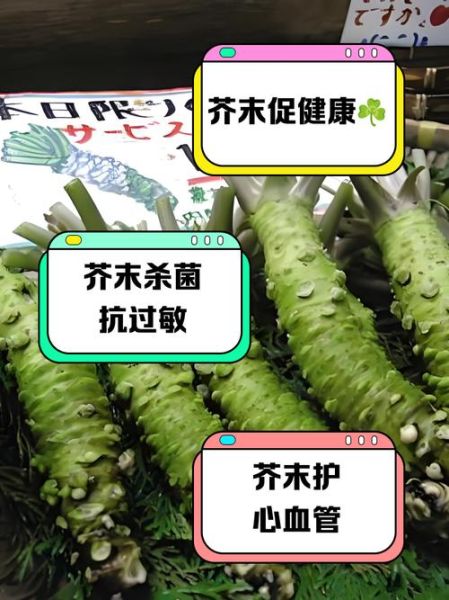 男人吃芥末有什么好处_芥末对男性健康的功效-第3张图片-山城妙识