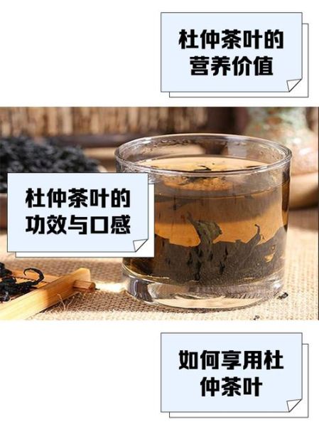 常喝杜仲茶有什么好处_杜仲茶能降血压吗-第1张图片-山城妙识 常喝杜仲茶有什么好处_杜仲茶能降血压吗-第1张图片-山城妙识