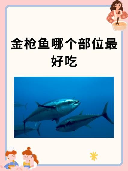 金枪鱼生吃安全吗_金枪鱼哪个部位最好吃-第1张图片-山城妙识