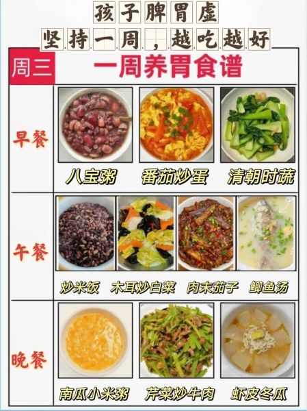 小学生营养餐食谱一周_如何搭配才科学-第3张图片-山城妙识 小学生营养餐食谱一周_如何搭配才科学-第3张图片-山城妙识