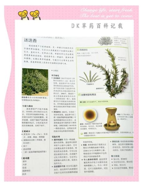 迷迭香殊娓是什么_迷迭香殊娓功效与作用-第3张图片-山城妙识