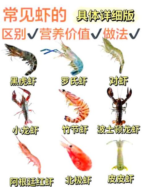 虾的营养价值_虾吃了会长胖吗-第1张图片-山城妙识