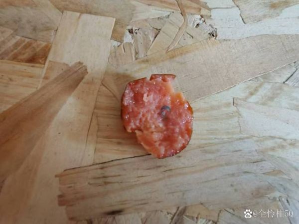 火腿肠工厂恶心视频_还能放心吃吗-第2张图片-山城妙识 火腿肠工厂恶心视频_还能放心吃吗-第2张图片-山城妙识