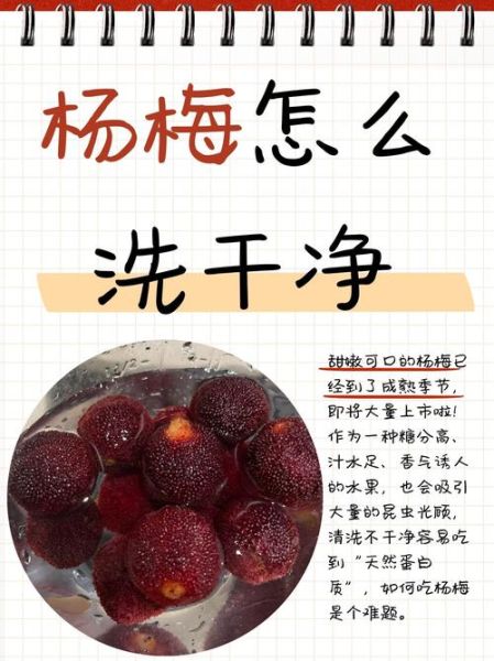 杨梅怎么洗才干净_杨梅的正确吃法-第1张图片-山城妙识 杨梅怎么洗才干净_杨梅的正确吃法-第1张图片-山城妙识