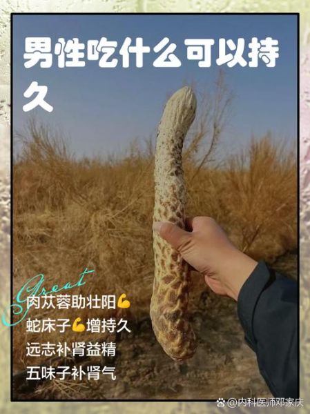 壮阳吃什么补最快最好_男人吃什么壮阳最快-第3张图片-山城妙识
