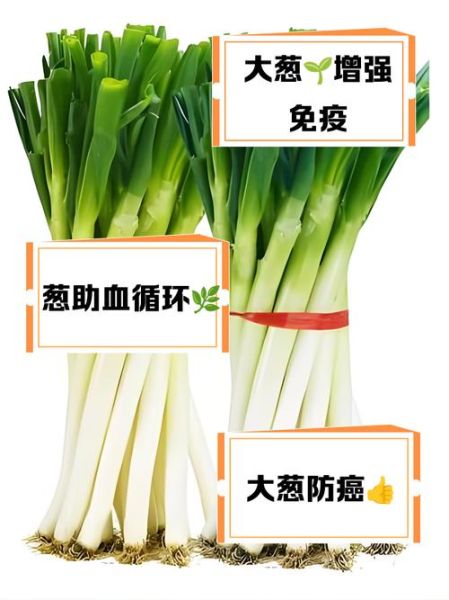 大葱的营养价值_大葱有哪些营养成分-第1张图片-山城妙识 大葱的营养价值_大葱有哪些营养成分-第1张图片-山城妙识