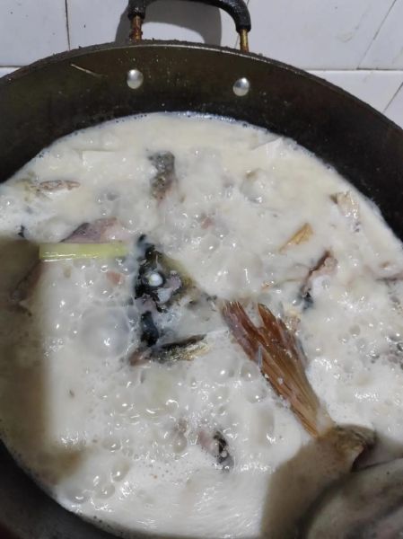 鲤鱼怎么炖好吃又简单_家常炖鲤鱼做法-第1张图片-山城妙识 鲤鱼怎么炖好吃又简单_家常炖鲤鱼做法-第1张图片-山城妙识