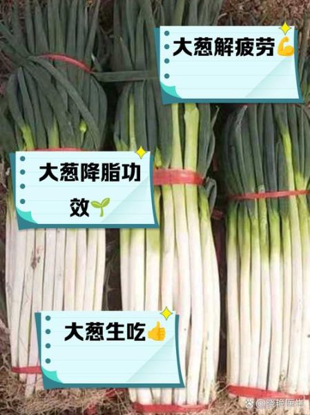 大葱的营养价值_大葱有哪些营养成分-第2张图片-山城妙识 大葱的营养价值_大葱有哪些营养成分-第2张图片-山城妙识