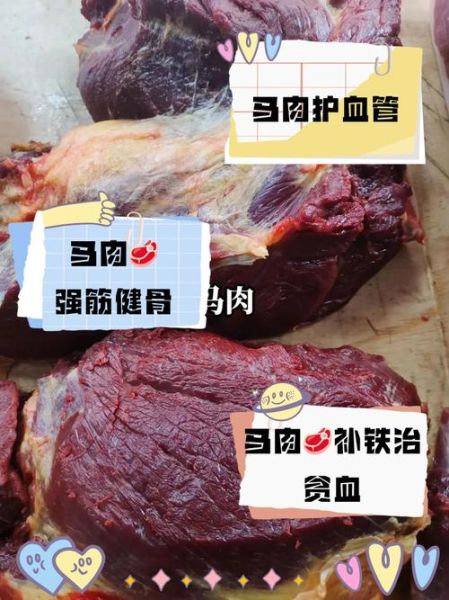 为什么没人吃马肉_马肉禁忌真相-第3张图片-山城妙识 为什么没人吃马肉_马肉禁忌真相-第3张图片-山城妙识