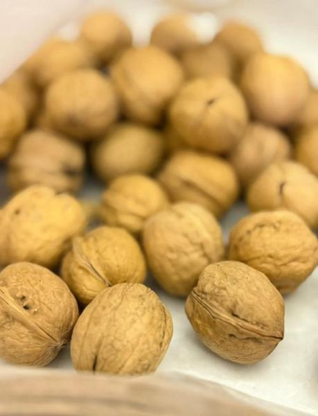 核桃仁怎么炒_核桃仁炒多久才香脆-第1张图片-山城妙识 核桃仁怎么炒_核桃仁炒多久才香脆-第1张图片-山城妙识