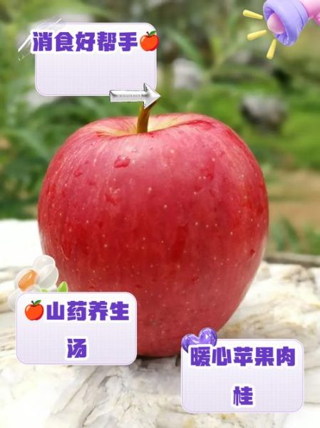 健脾胃的水果有哪些_怎么吃效果最好-第3张图片-山城妙识